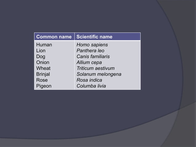 The living world Class 11 NCERT | PPTX