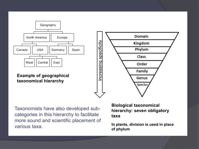 The living world Class 11 NCERT | PPTX