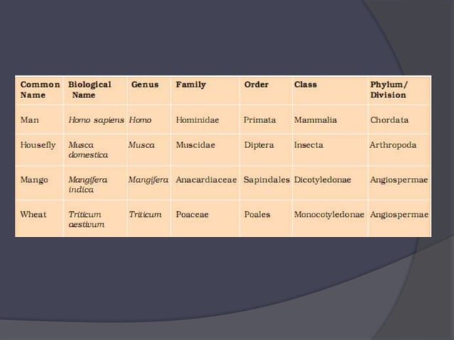 The living world Class 11 NCERT | PPTX