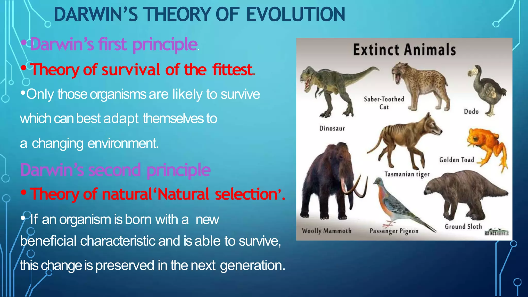 The Living World Adaptation And Classification.pptx