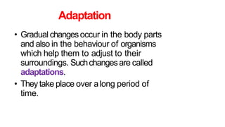 The Living World Adaptation And Classification.pptx