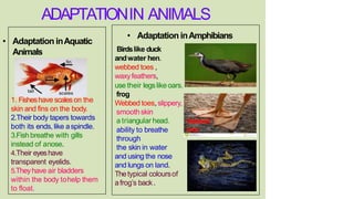 The Living World Adaptation And Classification.pptx
