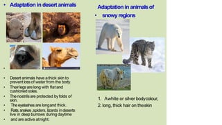 The Living World Adaptation And Classification.pptx