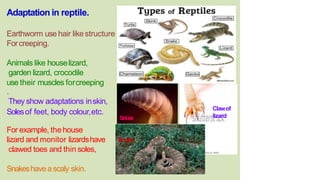 The Living World Adaptation And Classification.pptx