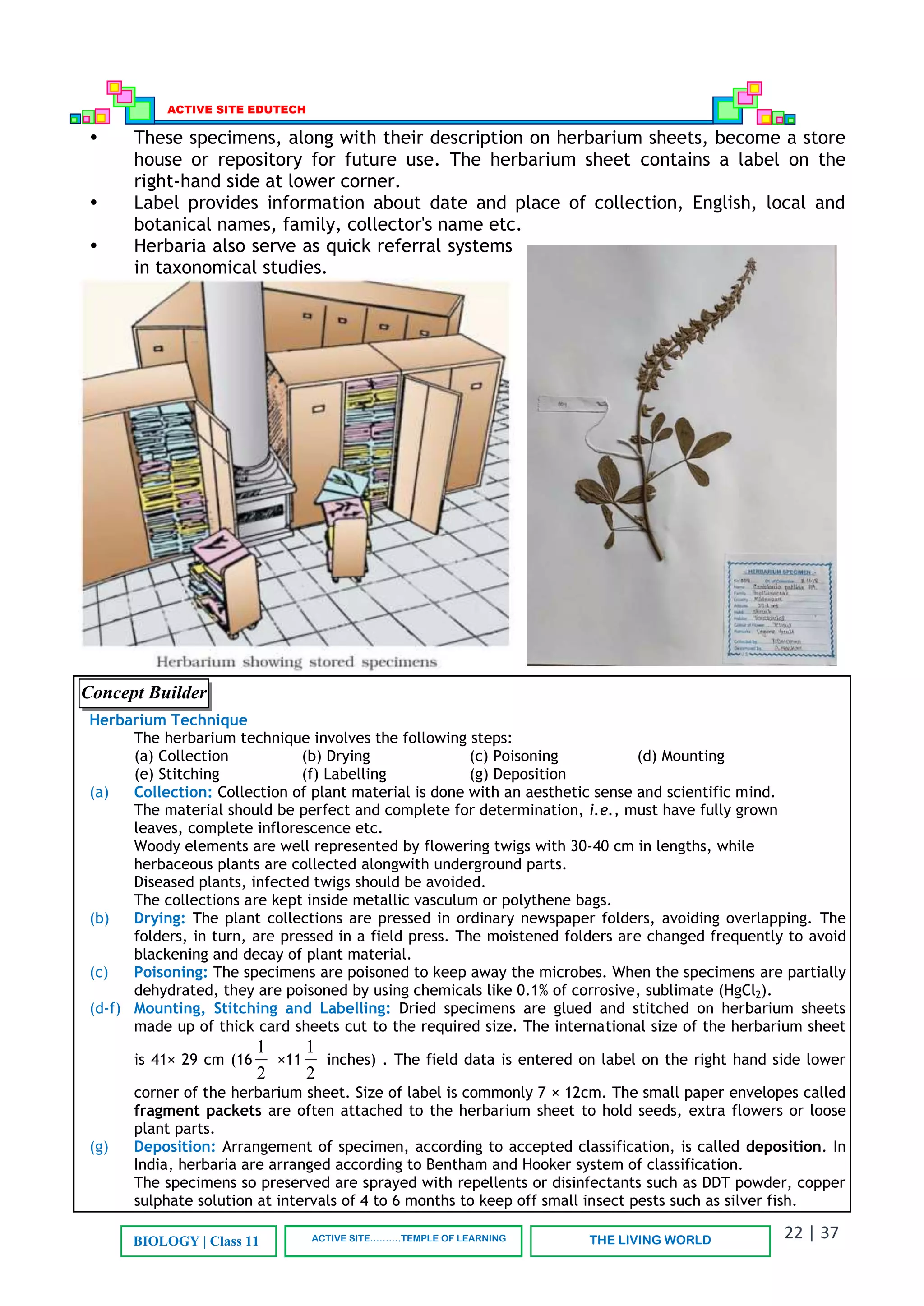 THE LIVING WORLD Detailed.pdf
