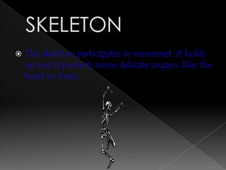 The Locomotor System | PPTX