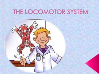 The locomotor system | PPTX
