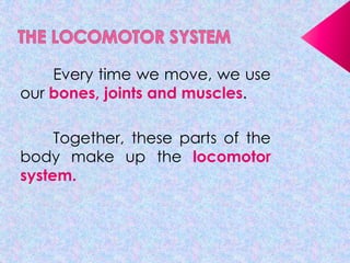 The locomotor system | PPTX