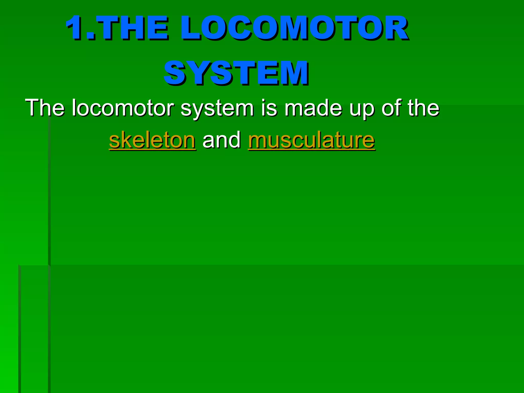 The locomotor system by Javier Díaz and Ángel Casado | PPT