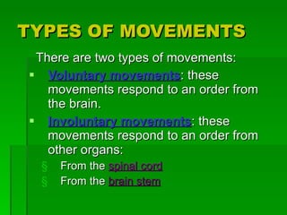 The locomotor system by Javier Díaz and Ángel Casado | PPT
