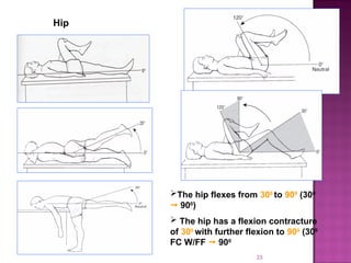THE LOCOMOTOR SYSTEM is a system of structures that move the body | PPT