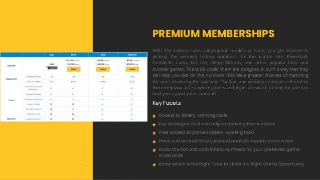 The Lottery Lab - Overview.pptx