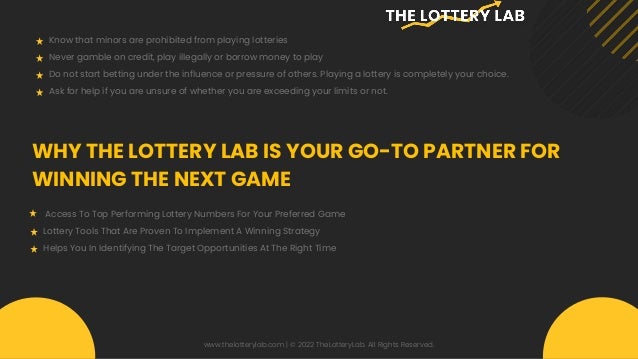 The Lottery Lab - Overview.pptx