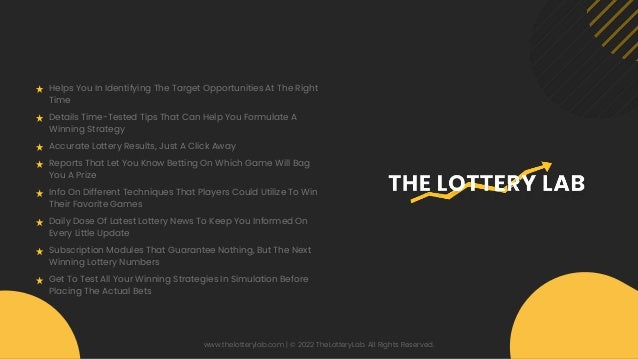 The Lottery Lab - Overview.pptx