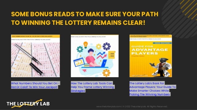 The Lottery Lab - Overview.pptx