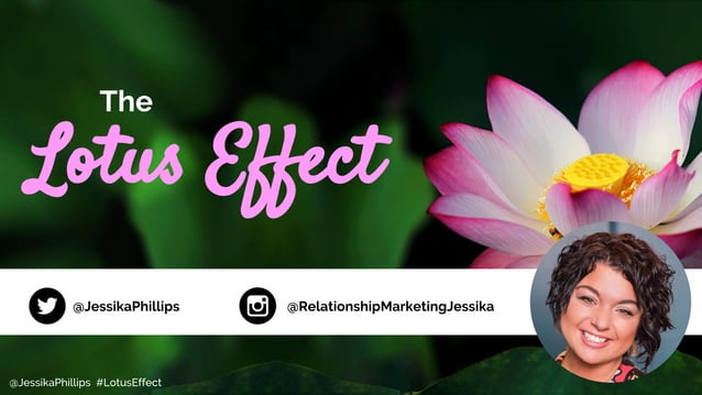 The Lotus Effect | PDF