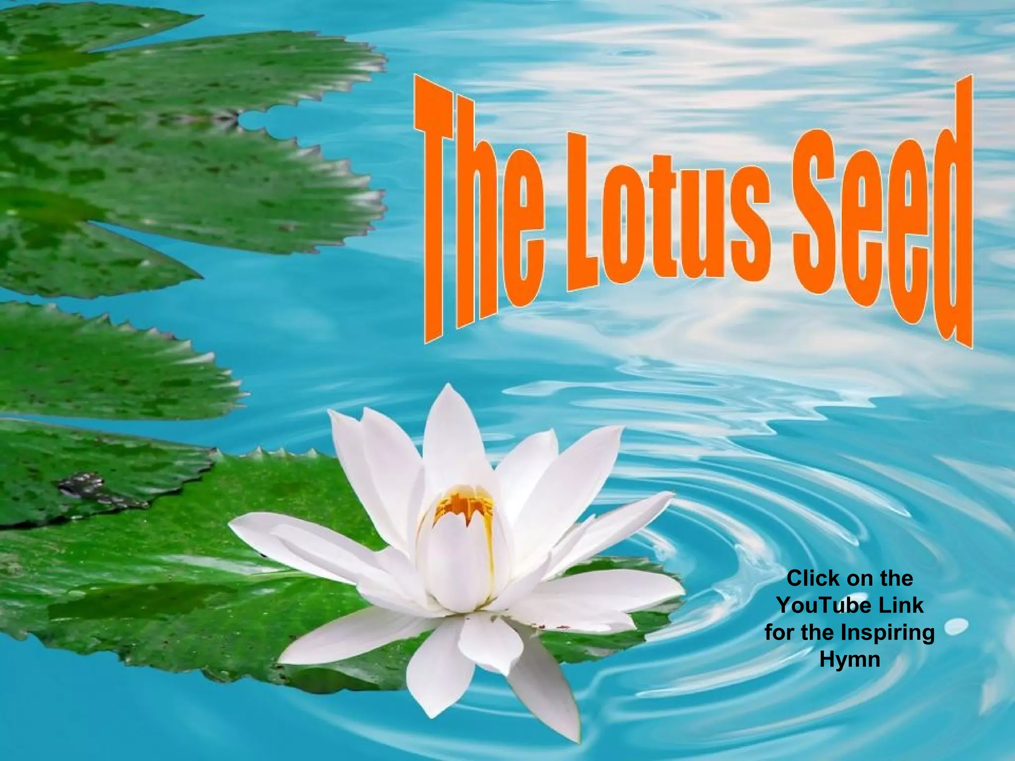 The Lotus Seed ... A Karaoke Rendition | PPT