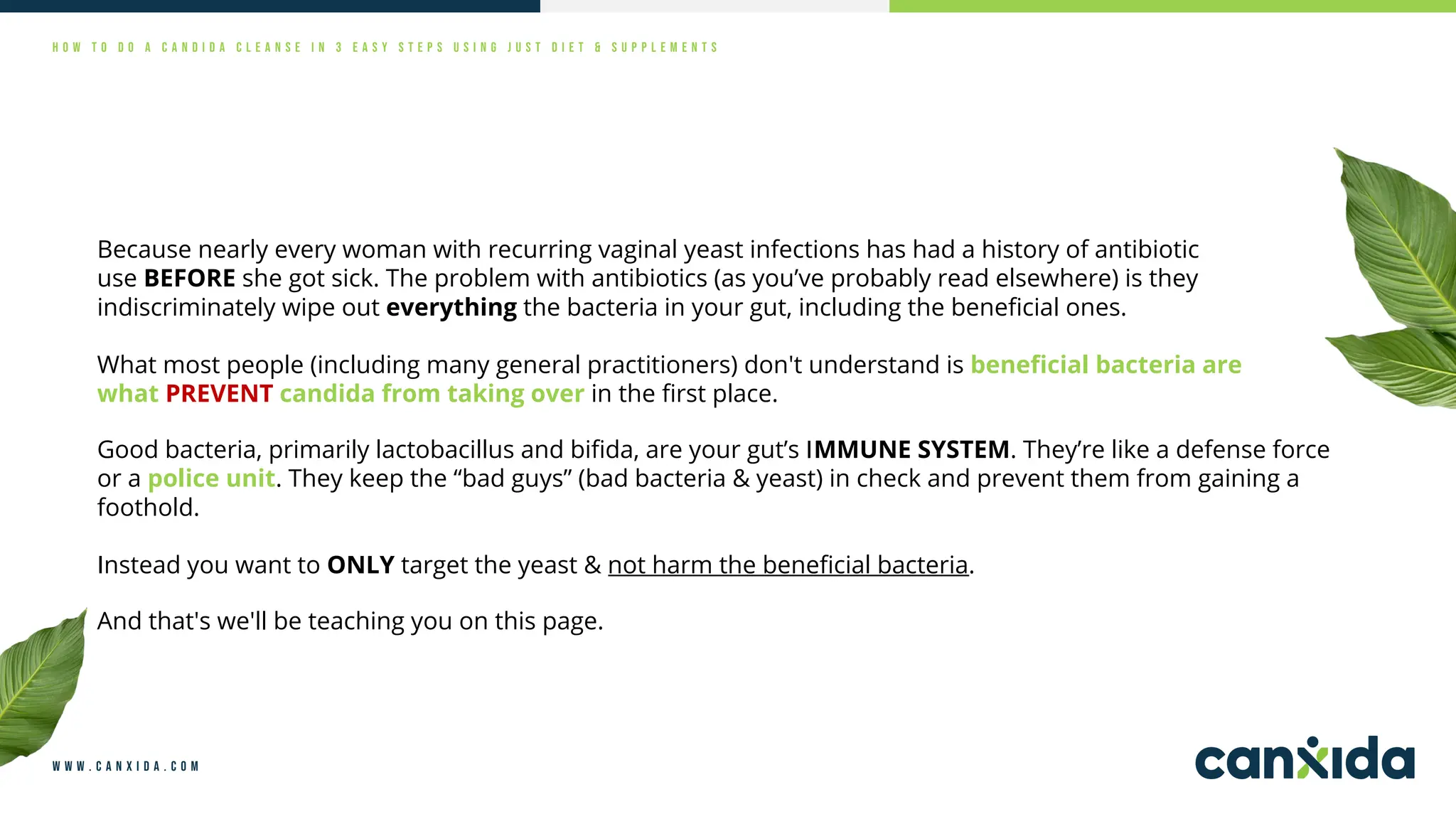 The Low Allergy Diet Second Phase of Your Candida Cleanse.pdf