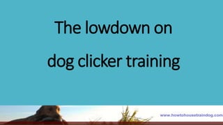 The lowdown on dog clicker training | PPT