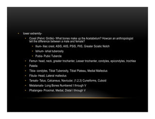 The lower extremity1 | PPT