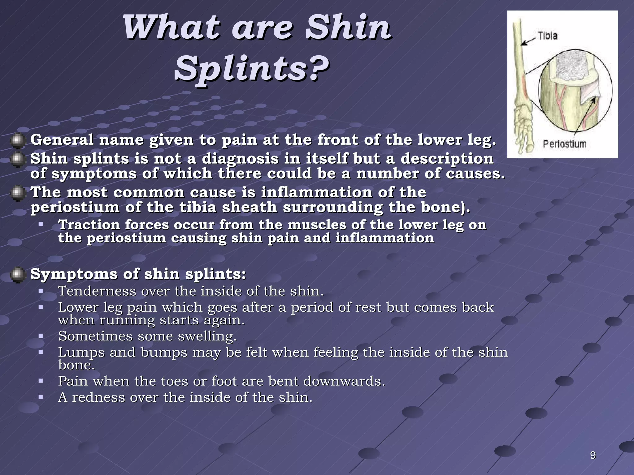 The lower leg and ankle f09 | PPT