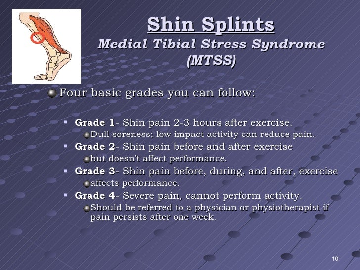 The lower leg and ankle f09