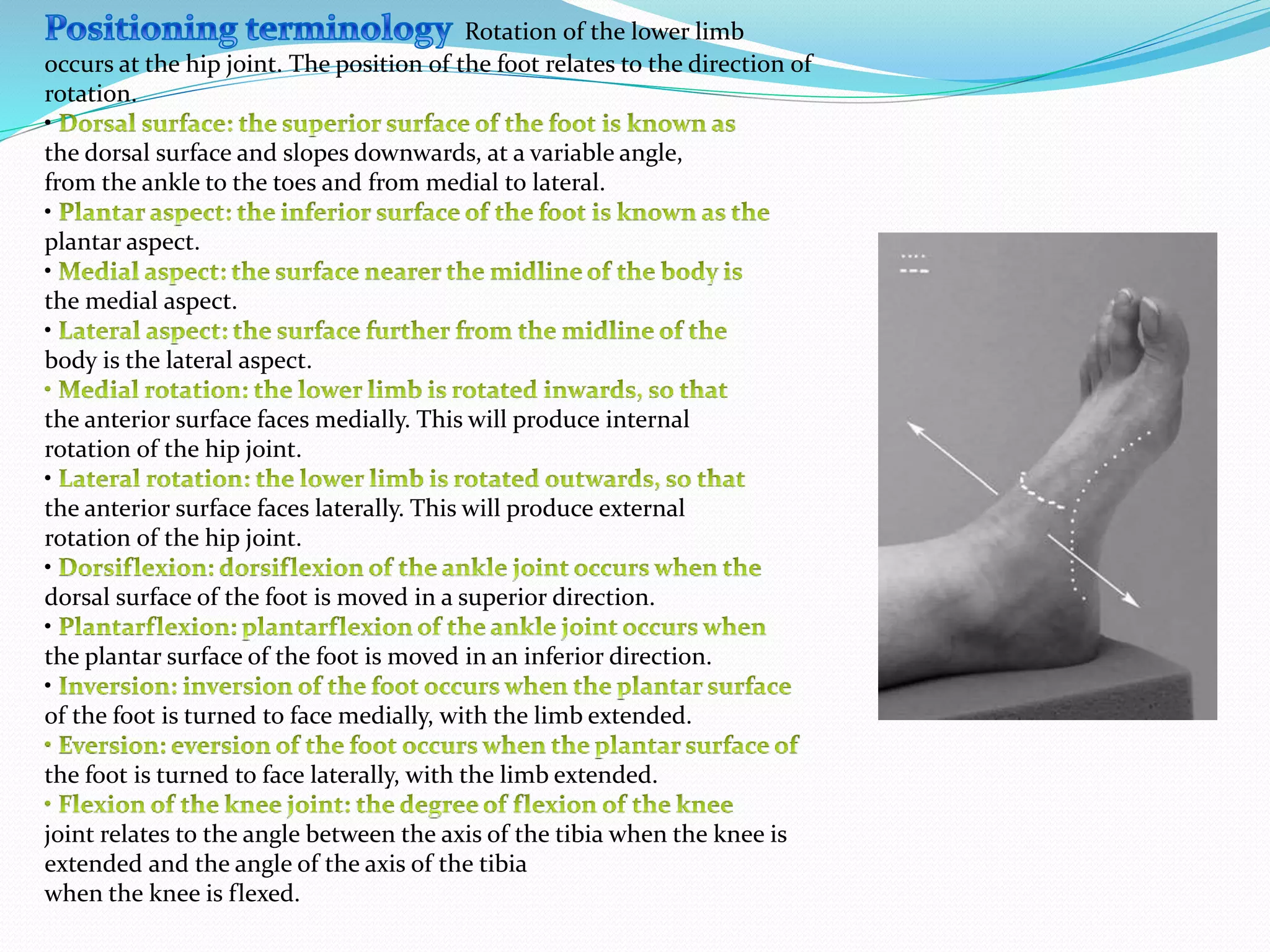 the lower limb positioning | PPTX