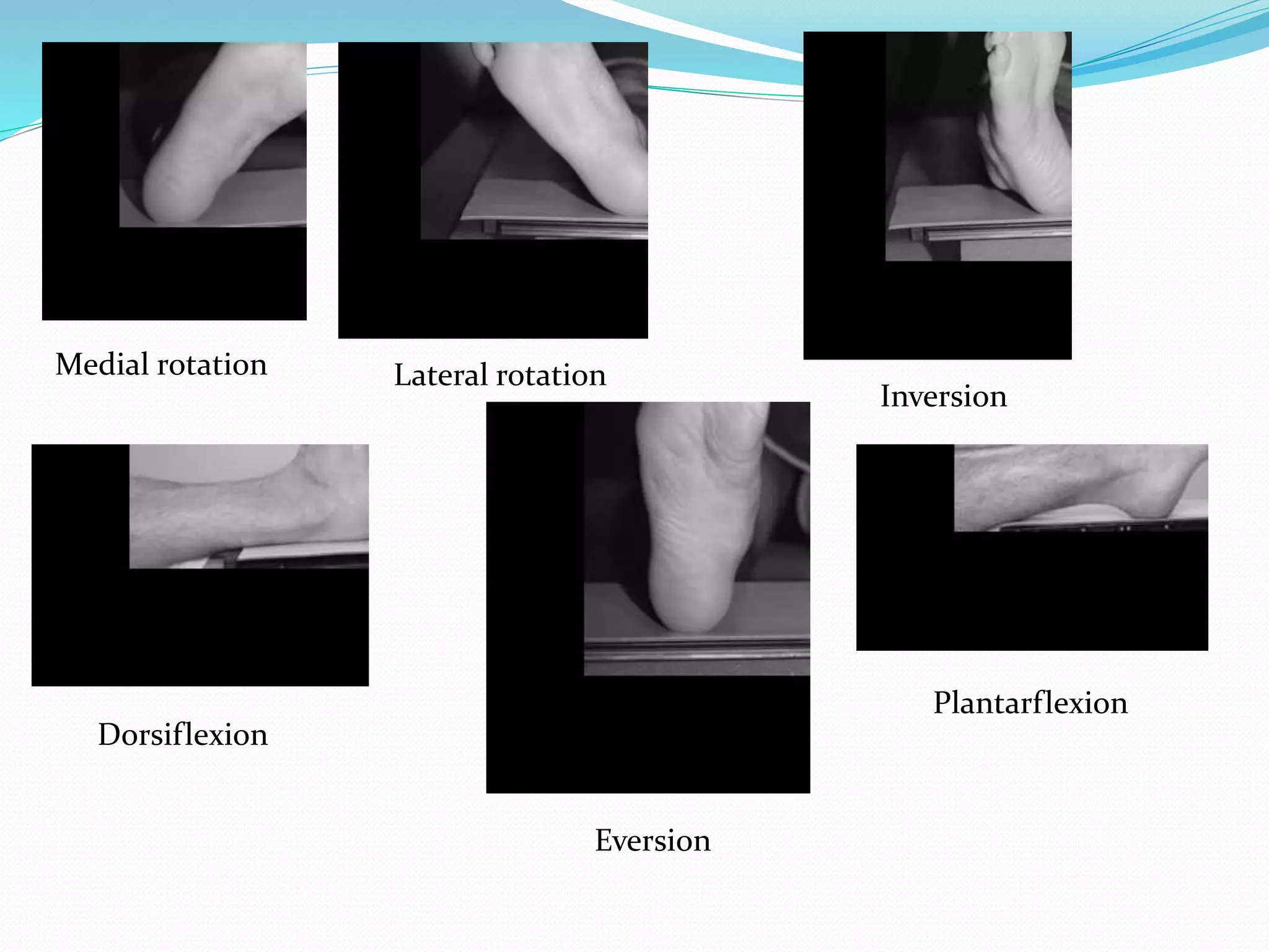 the lower limb positioning | PPTX