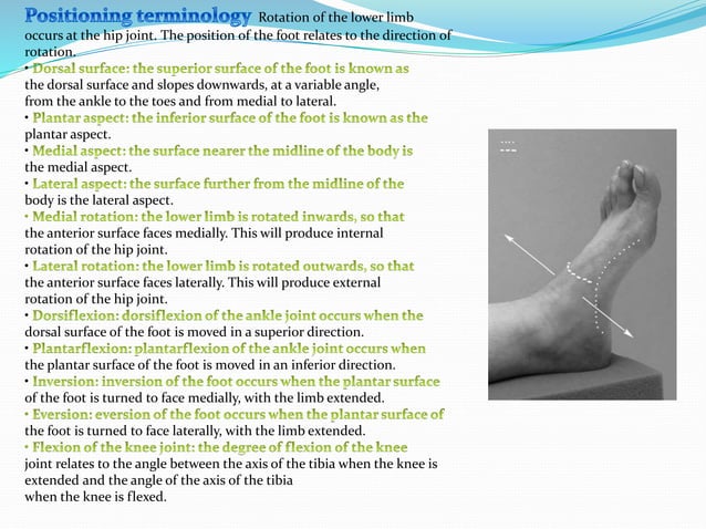 the lower limb positioning | PPTX