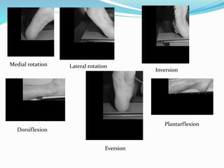 the lower limb positioning | PPTX