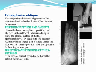 the lower limb positioning | PPTX