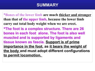 The lower limb bones anatomy presentation.pptx