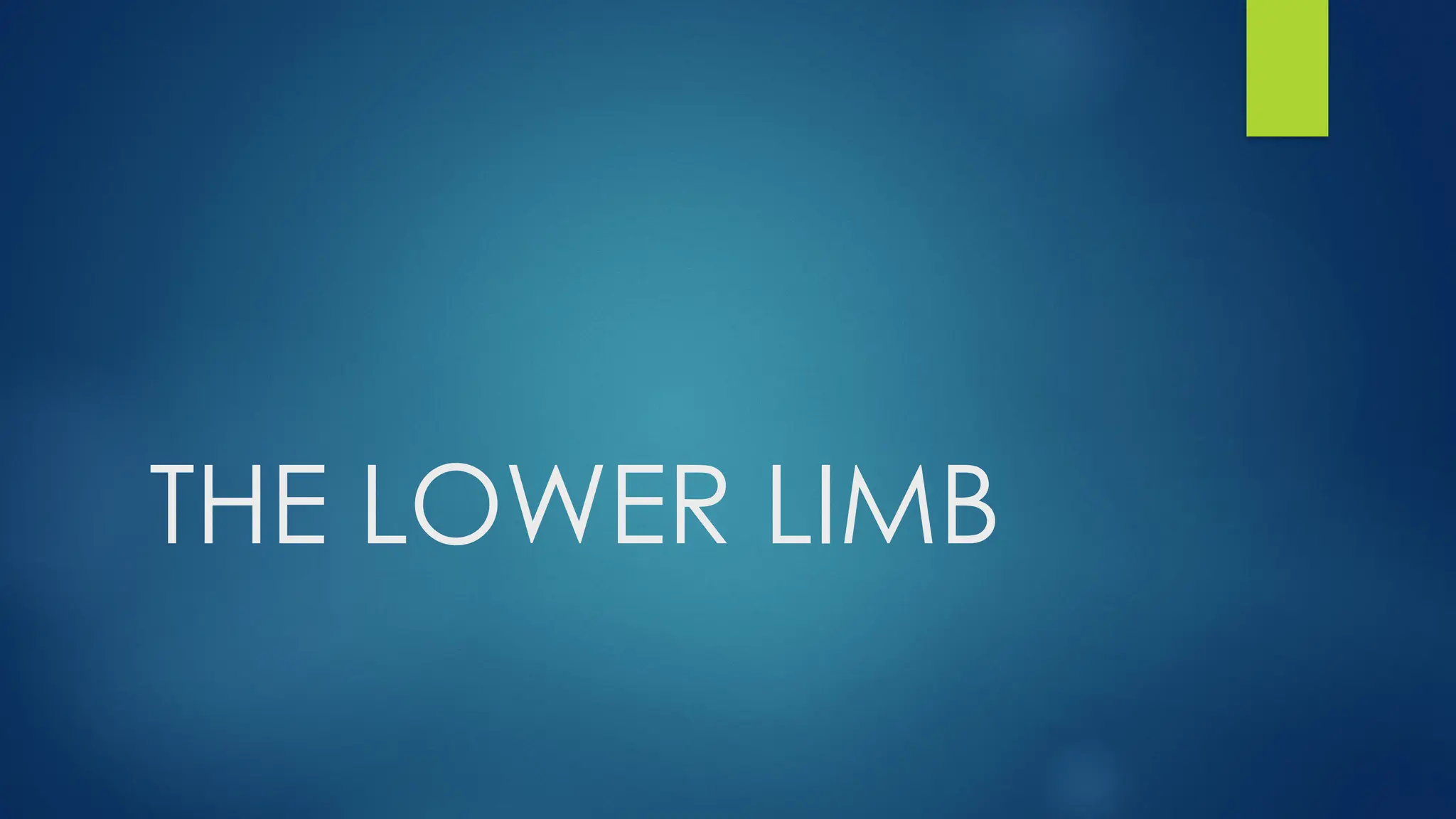 THE GROSS ANATOMY OF THE LOWER LIMB AND ANATOMICAL AREAS | PPTX