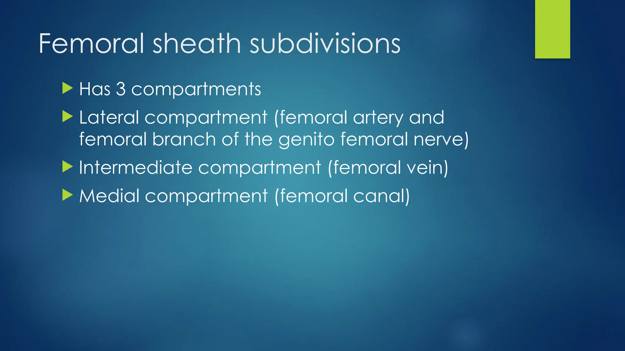 THE GROSS ANATOMY OF THE LOWER LIMB AND ANATOMICAL AREAS | PPTX