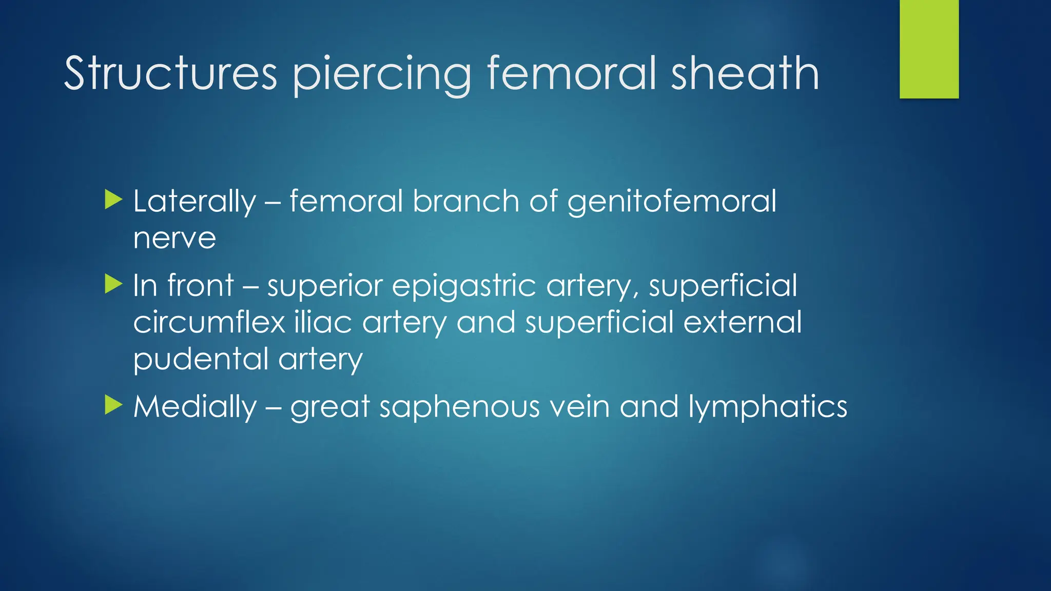 THE GROSS ANATOMY OF THE LOWER LIMB AND ANATOMICAL AREAS | PPTX