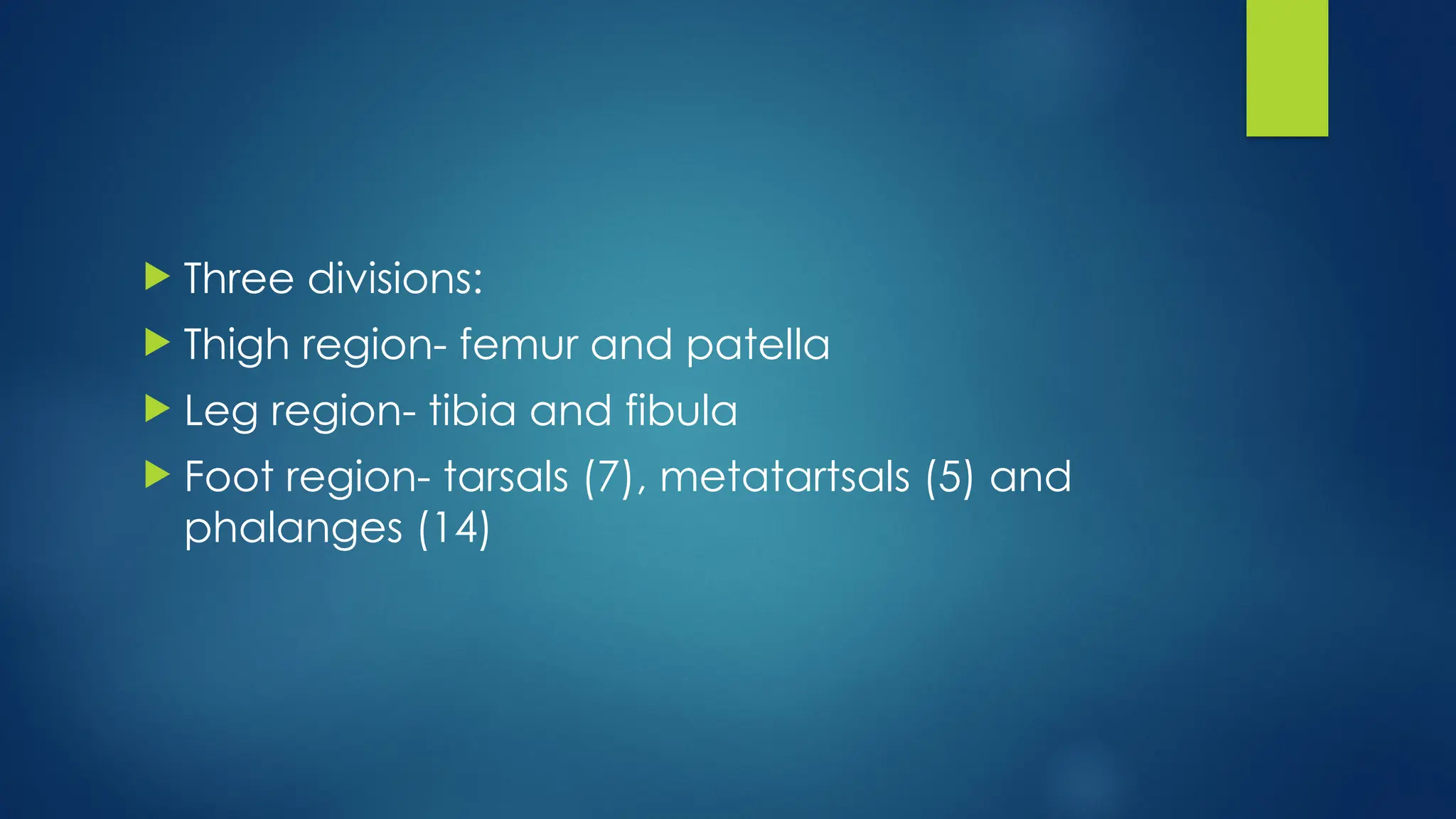 THE GROSS ANATOMY OF THE LOWER LIMB AND ANATOMICAL AREAS | PPTX
