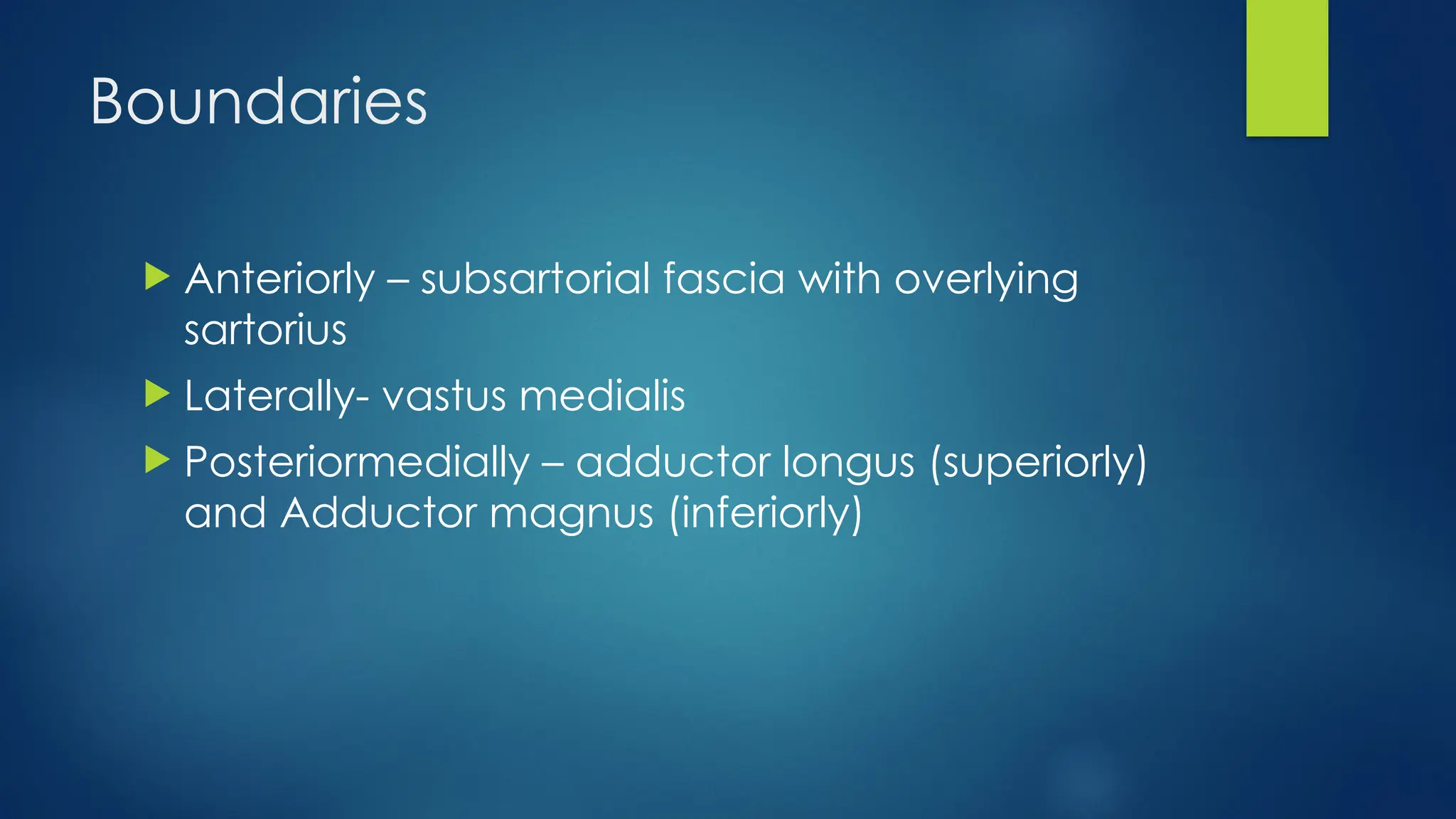THE GROSS ANATOMY OF THE LOWER LIMB AND ANATOMICAL AREAS | PPTX