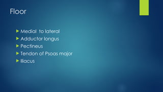 THE GROSS ANATOMY OF THE LOWER LIMB AND ANATOMICAL AREAS | PPTX