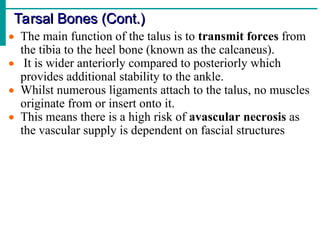 Comprehensive Overview of Pelvic and Lower Limb Bones in Human Anatomy ...