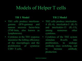 T Helper Cell Cytokine Profiles | PPTX