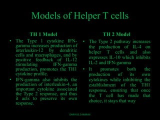 T Helper Cell Cytokine Profiles | PPTX