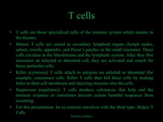 T Helper Cell Cytokine Profiles | PPTX