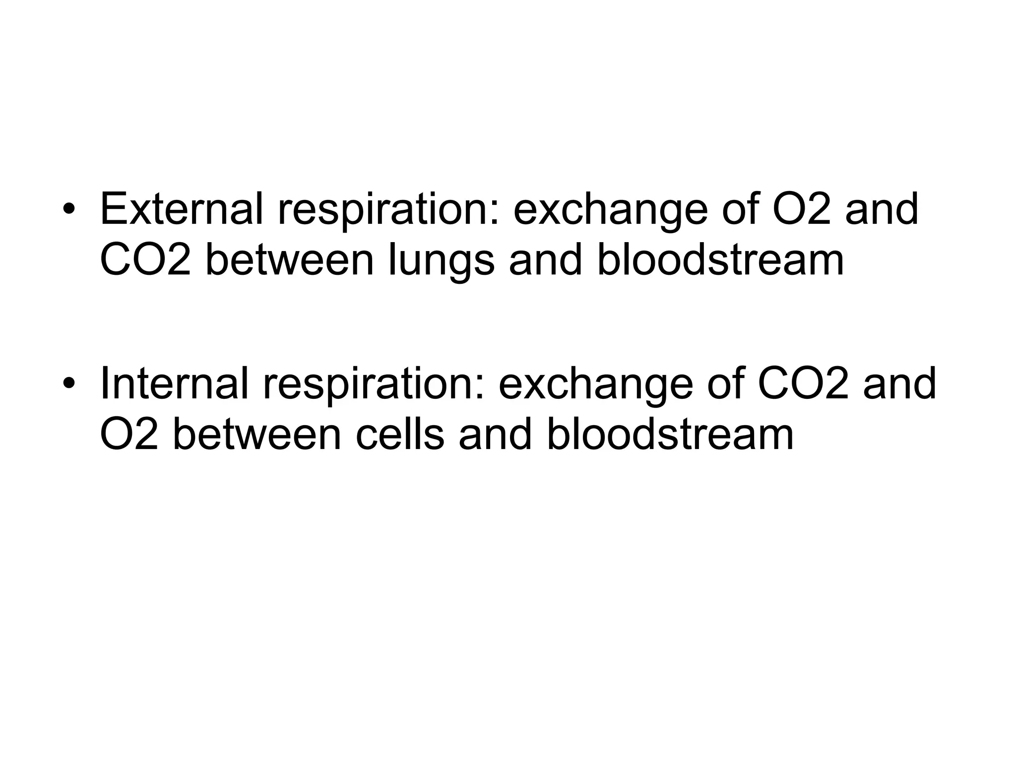 The lungs | PPT