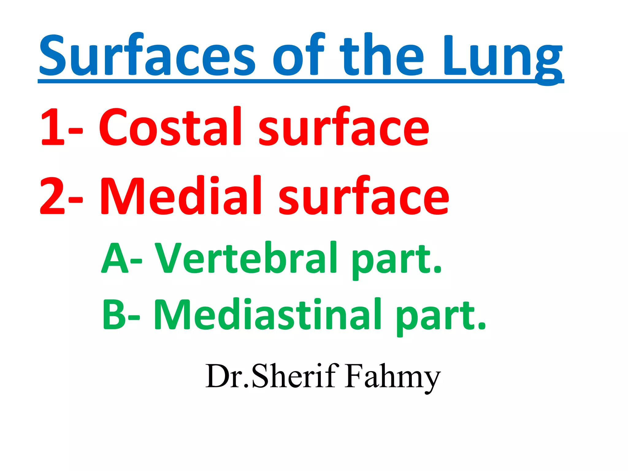 The Lungs (Anatomy of the Thorax) | PPS