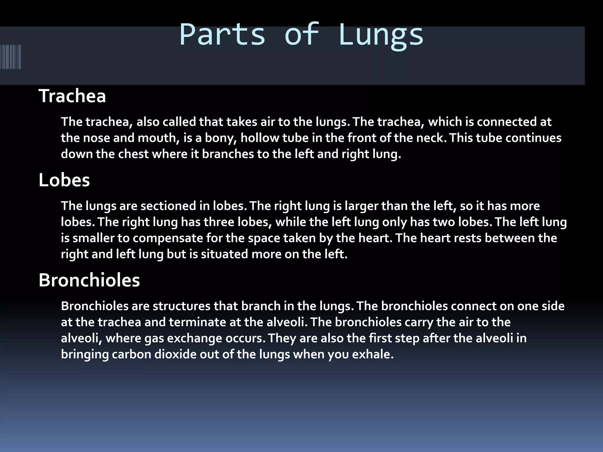 The lungs presentation | PPTX