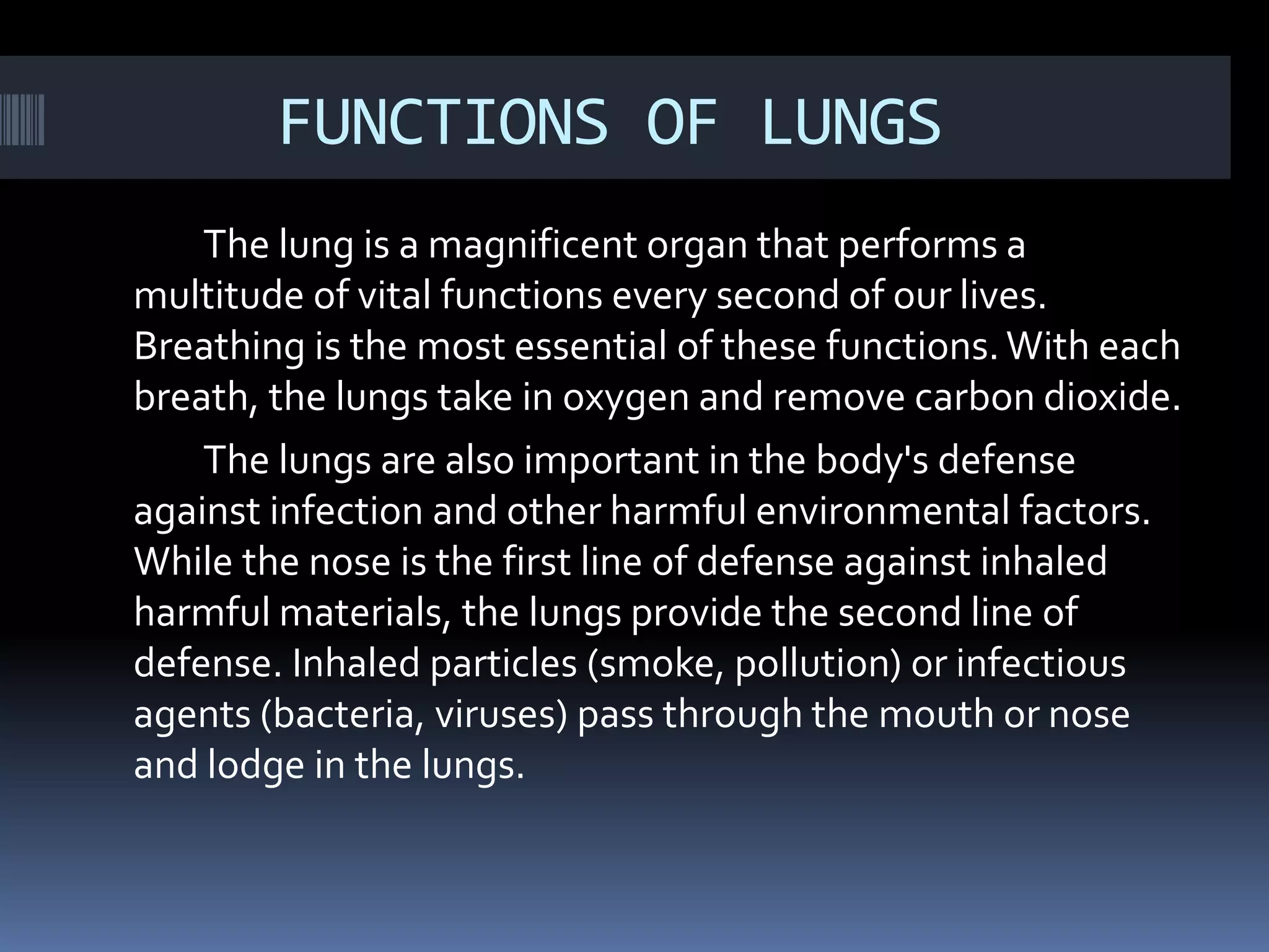 The lungs presentation | PPTX