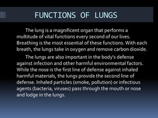 The lungs presentation | PPTX