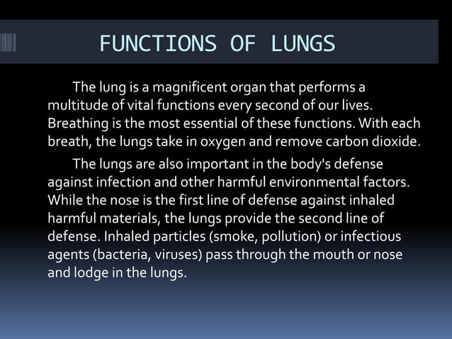 The lungs presentation | PPTX | Lung and Respiratory Health | Diseases ...