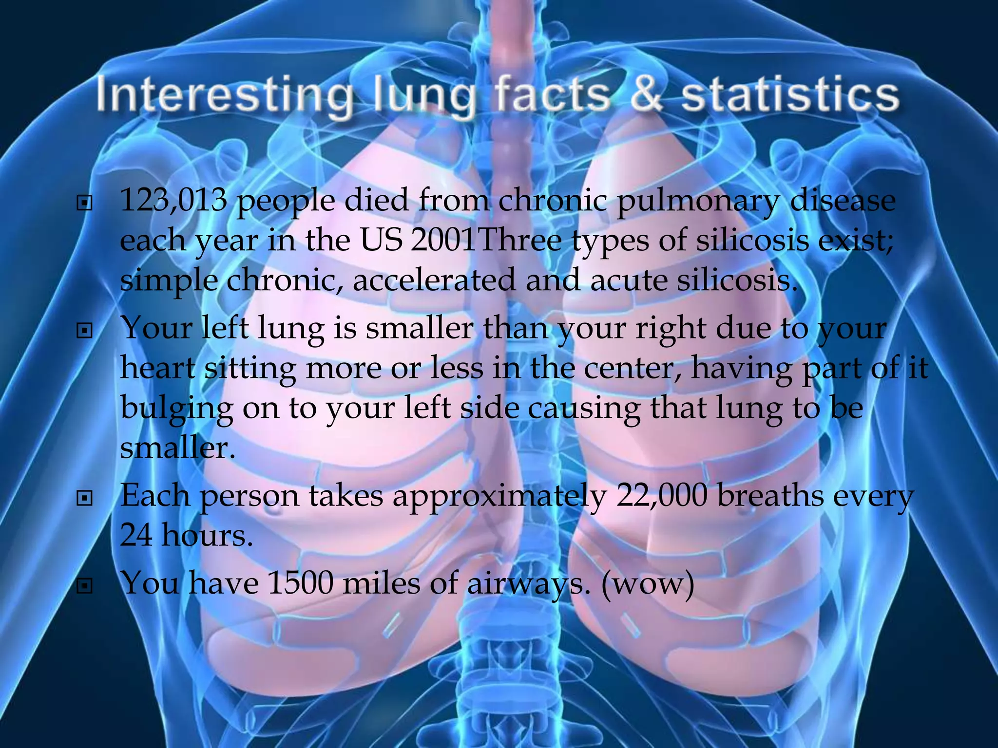 The lungs presentation ch.2 | PPTX