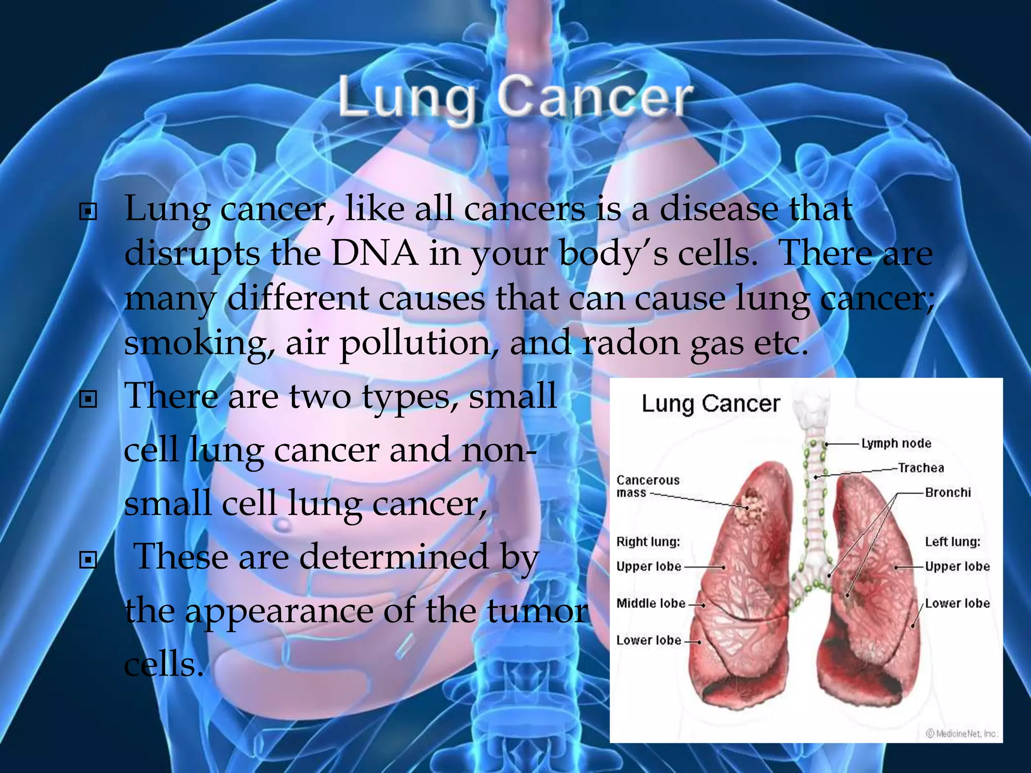 The lungs presentation ch.2 | PPTX